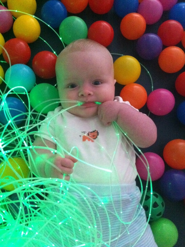 Amygdala – Learning from Dogs