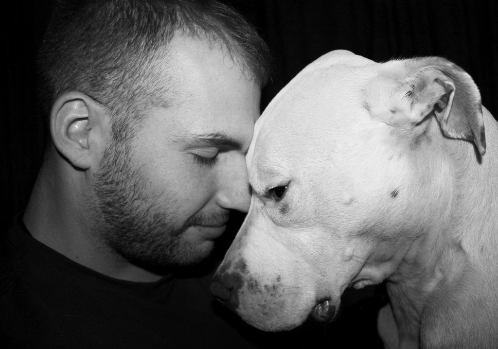 The bond between dogs and humans – Learning from Dogs
