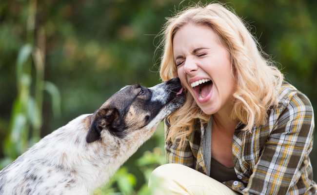 Life and Dogs – Learning from Dogs